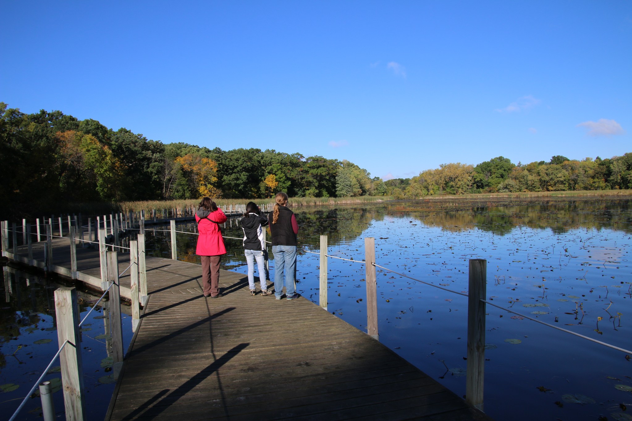 Maplewood Nature Center & Preserves – Friends of Maplewood Nature