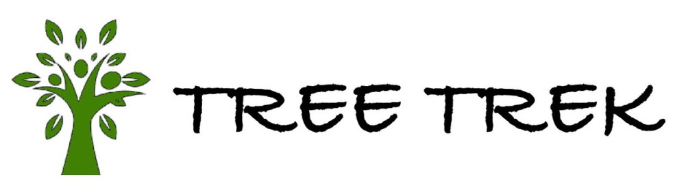 Tree Trek – Friends of Maplewood Nature